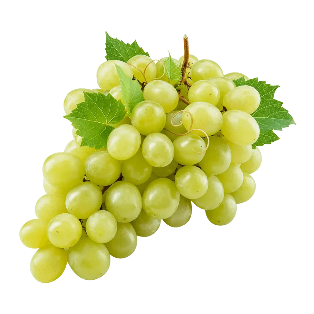 Green Grapes – Deejaki Fresh India